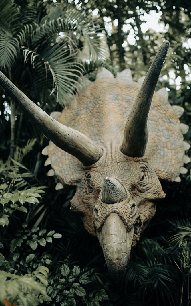 Dinossauros: onde eles se encaixam na criação de Deus? – Comunhão