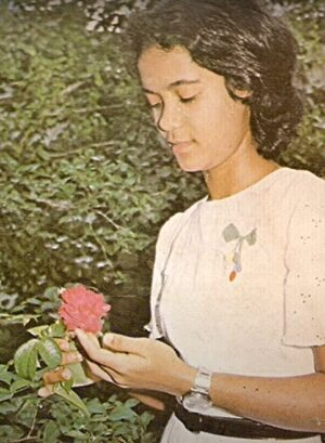 História do hino "A Rosa Vermelha", de Isabel Pacheco